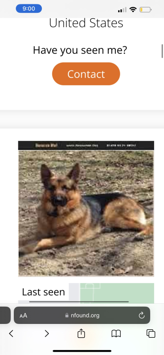 Lost Dogs Search Database - NFound Samaritan Project